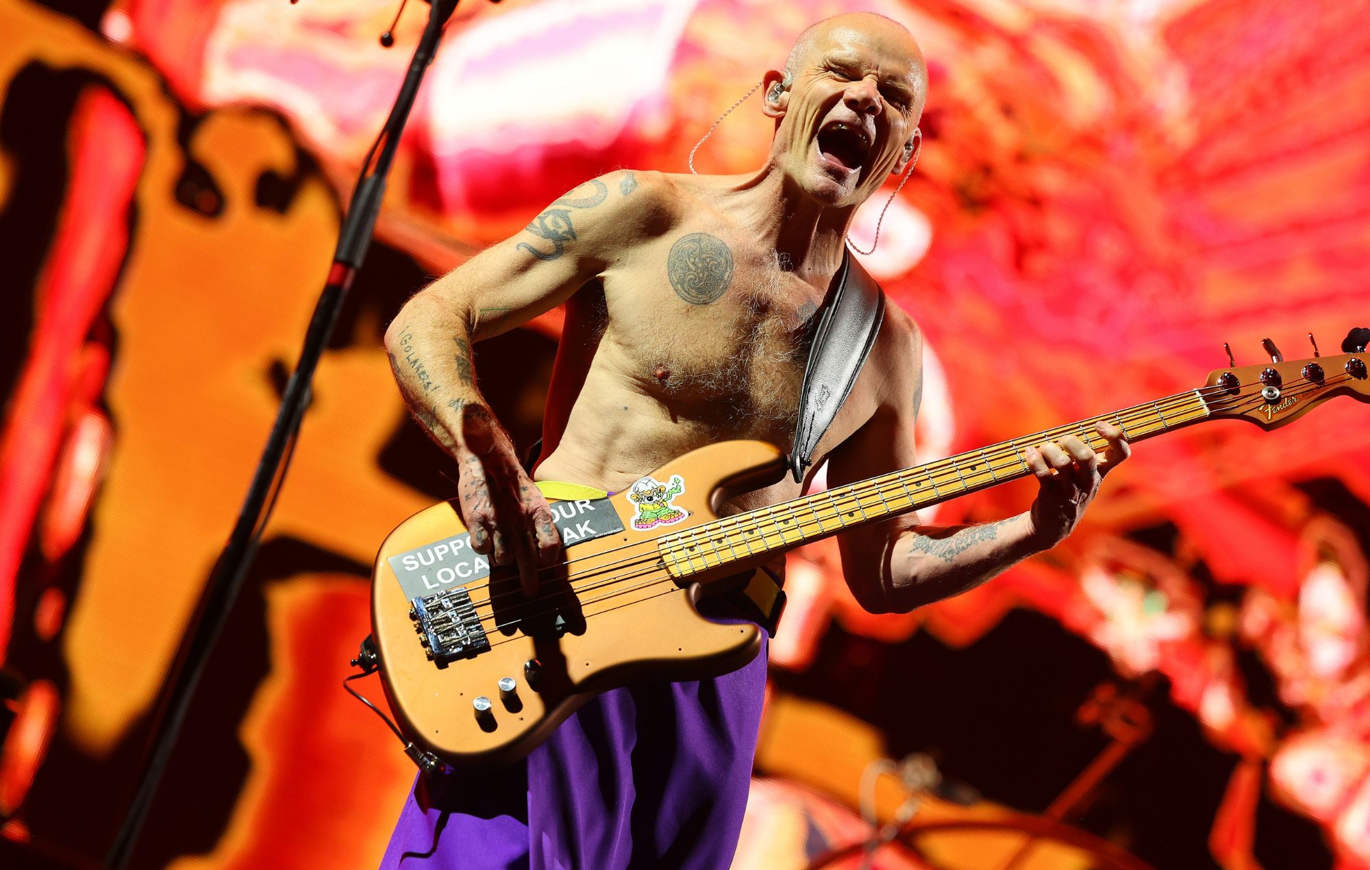 Cinco apariciones de Flea en el cine – FILMNET